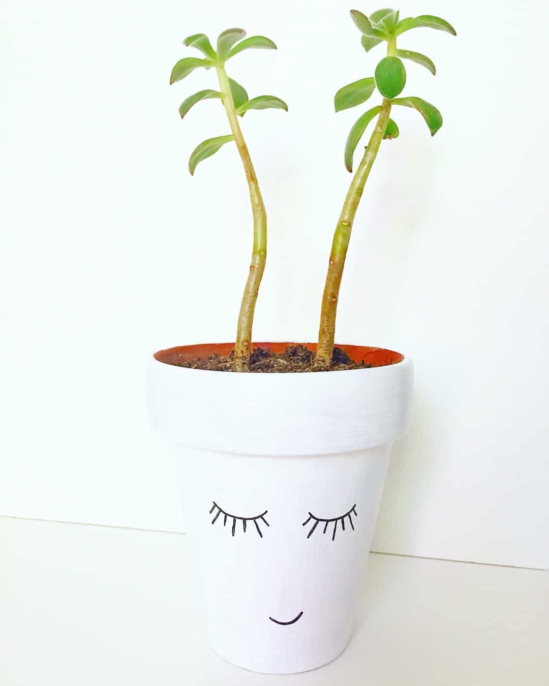 DIY Black and White Painted Clay Pot - TRY IT NOW! - Rachel's Crafted Life
