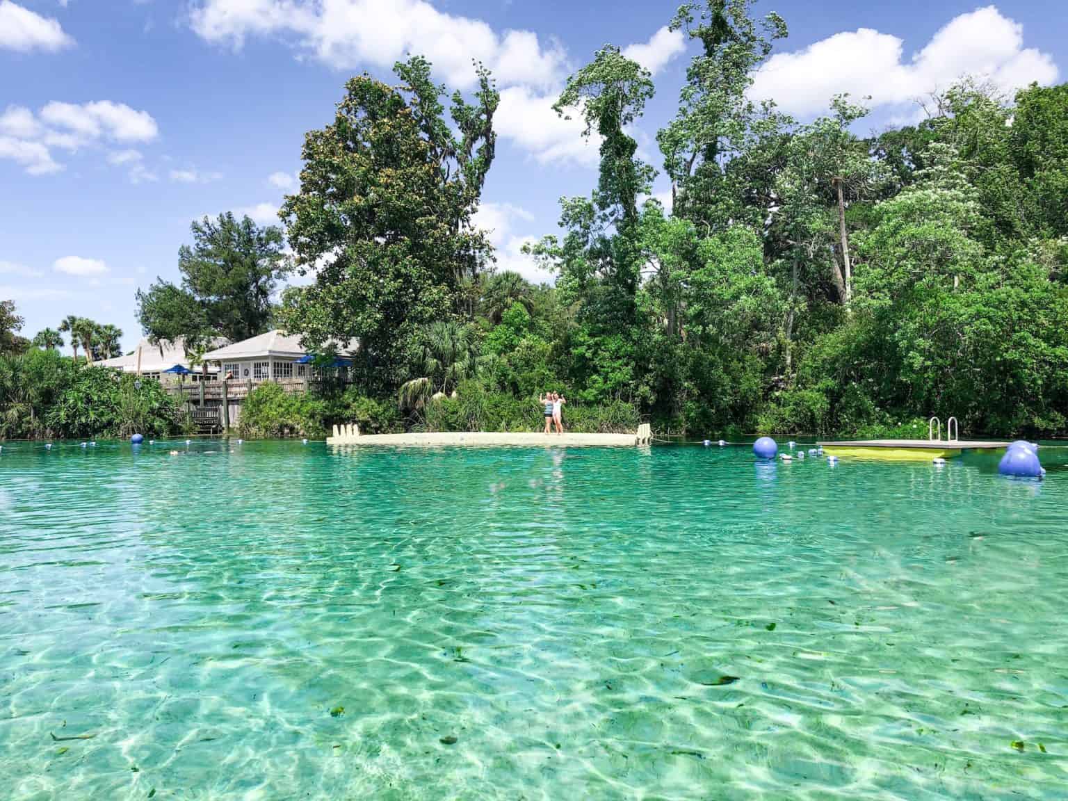 Weeki Wachee Mermaid Show Near Tampa, Florida - Rachel's Crafted Life