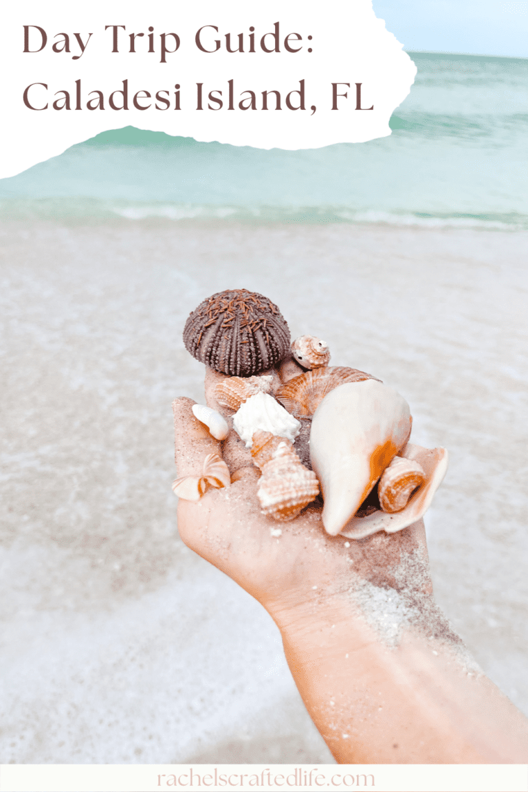 Day Trip Guide to Devil's Den Florida: A Prehistoric Spring - Rachel's Crafted Life