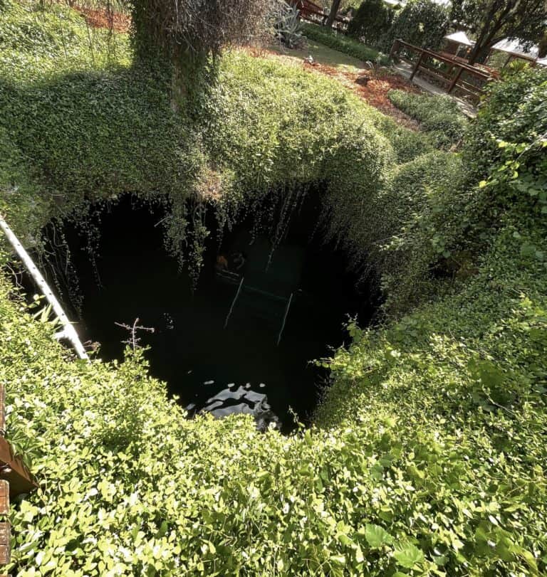 Day Trip Guide to Devil's Den Florida: A Prehistoric Spring - Rachel's Crafted Life
