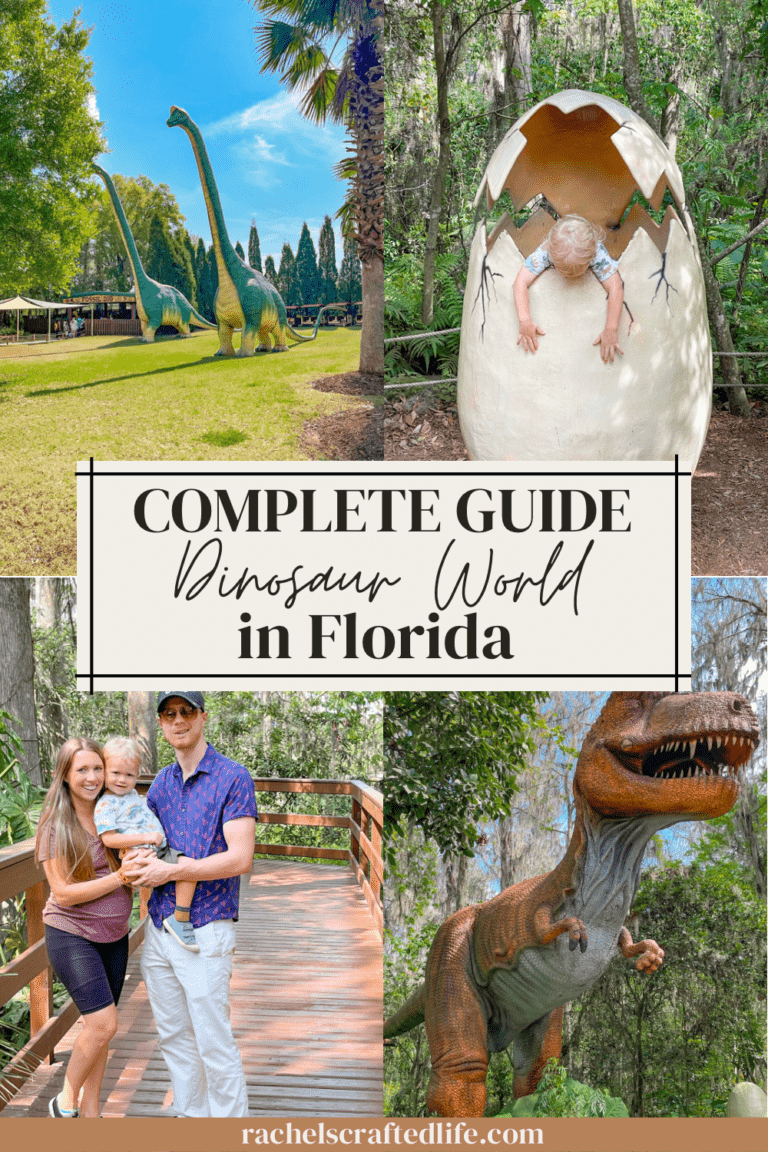 Guide to Plant City's Dinosaur World in Florida - Rachel's Crafted Life